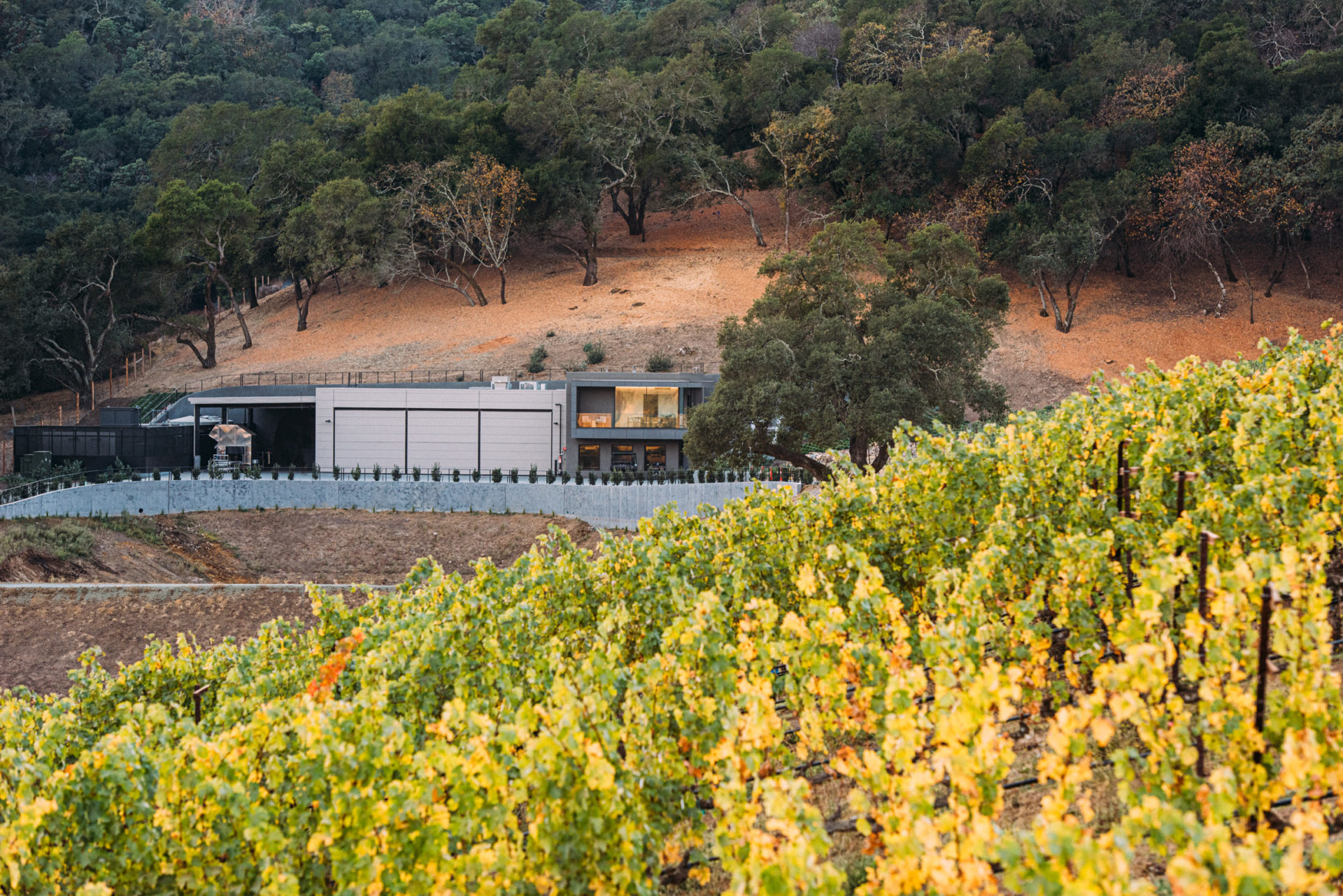 Realm Cellars - Winery Construction - FDC